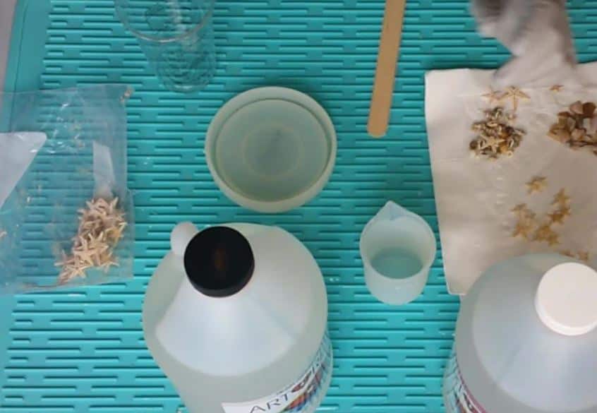 Seashells In Resin Coasters - All DIY Crafts